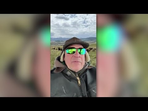 Grand Co. Commissioners accuse CPW of violating Wolf Restoration Plan