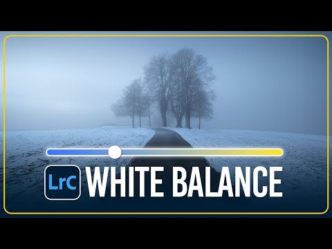 How I use WHITE BALANCE to Create MOODY IMAGES in LIGHTROOM!