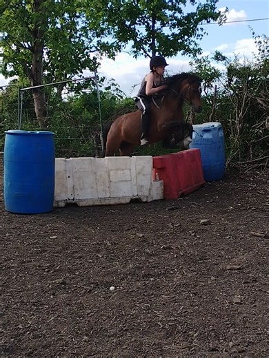 Achieving Success in Dressage Riding Competitions