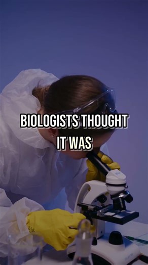 Why Evolution Broke the Tree of Life