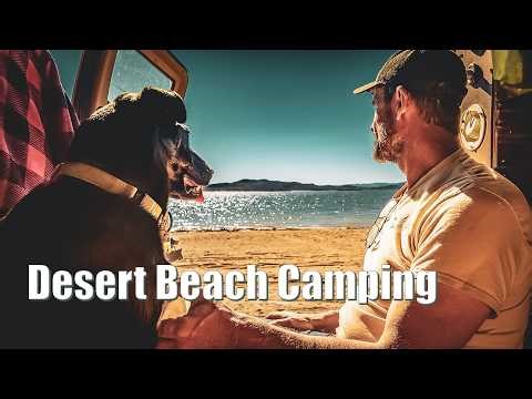 Desert Beach Camping - Van Life