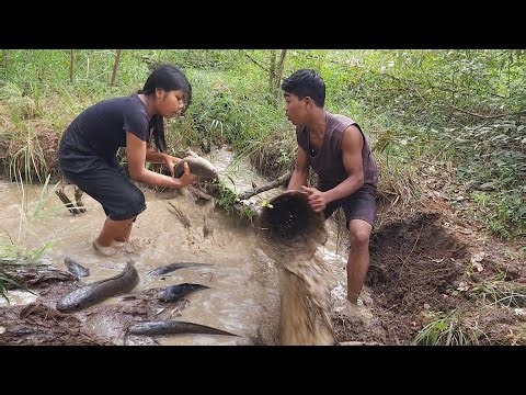 Survival in forest: Catch and Cook catfish for jungle food, So eating delicious