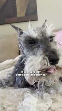 The Wild Bird Who Showed Up With A Message They Needed Most | The Dodo