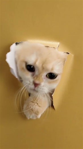 Happy New Year! Wishing #XiaomiFans tear into even more surprises in 2026! 🎁