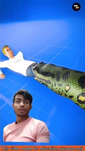 What Happens If a Snake Swallows a Human? #greenscreenfacts #sciencefacts #gfactstudio #didyouknow