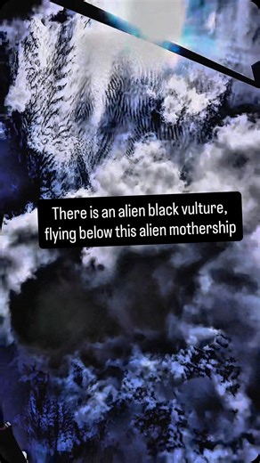 Brian Ladd on Instagram: "Breaking news, there is an alien black vulture circling below this alien mothership at Walmart in Port St. Lucie Florida today’s 23 December 2025 again these birds are not from earth. My wife and I document UFO and alien activity in St. Lucie county Florida. We have been doing this for over a year. All our work is public domain. You are free to share copy or do whatever you want with our videos. Thank you for watching. Please share. Every video we make is in 4K 60 frame