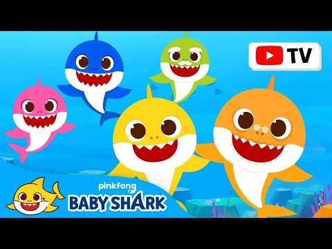 Baby Shark Doo Doo Doo 30 Min 🦈 | Baby Shark Song for Kids | Baby Shark Official