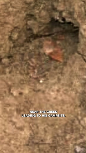 Firefighter Engineers Bigfoot Encounter #Monsterquest New Season Fri., Jan. 2 at 10/9c on HISTORY! | HISTORY