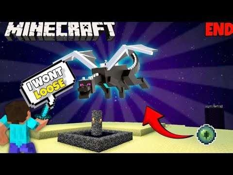 I Survived 100 Days in Minecraft Skyblock Then Killed the Ender Dragon!