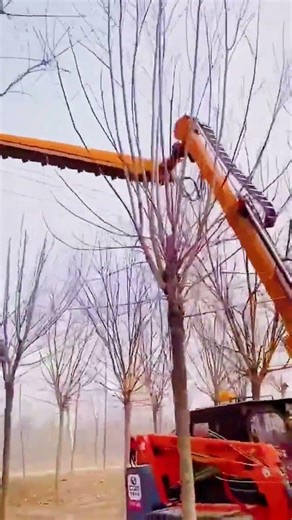 sophisticated machine for pruning plant branches #shorts