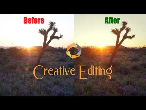 Nik Collection 8 DxO My First Impressions!