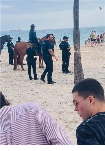 Spring Break in Fort Lauderdale… clearly the best place to be right now 😂🐎👮🏽‍♂️🚓🚨 #springbreak #fortlauderdale #florida #placestogo