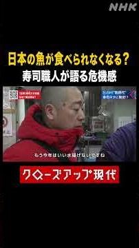 日本の魚が食べられなくなる!?寿司職人の懸念とは【クロ現】| NHK | #shorts