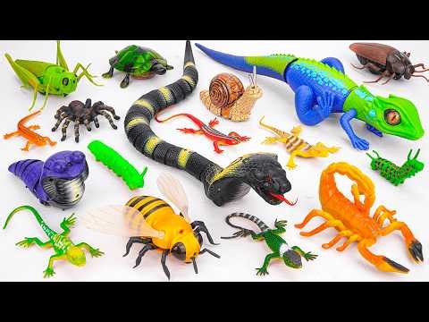 2 Hours ZURU Robo Alive Insects ASMR 🦎 King Cobra Snake, Bee, Lizard, Frog, Worm