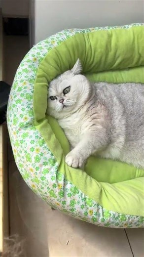 Dangers of Gas Cylinders: Don't Touch! SafetyAlert CylinderExplosion