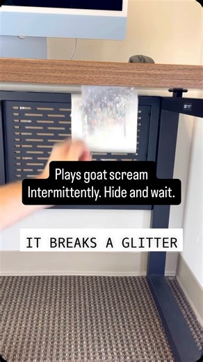 The Hide and Prank Goat scream plays every few minutes. Use the adhesive to place in odd hiding spots. And wait. Once the find it and remove it the pouch is broken. Made by joker greeting. | Joker Greeting