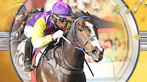 1.2K views · 11 reactions | Get to #ScottsvilleRacecourse this Saturday 26 May, for all the speed action on Tsogo Sun's sprint day with a jackpot of Gr1 races on the card. Bring your friends and family along, to see the Fashion shows and Prizes to be won - with SA's fastest racehorses on show! #TsogoSun #Pietermaritzburg #FestivalOfSpeed | Gallop TV | Facebook