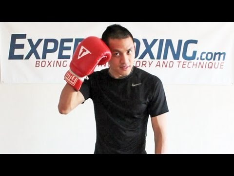 Where to Aim for a KNOCKOUT Punch