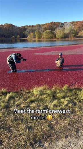 What a way to end the last wet harvest. Thanks for coming out Ling Messer - Commercial Photographer | Fresh From the Vine