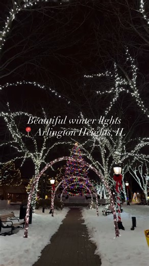 Gera | Chicagoland + Midwest Family Travel & Activities on Instagram: "Beautiful winter lights, decorations, and a great photo spot through the holiday season ✨ North School Park looks magical at night and is perfect for a family walk, photos, and cozy winter vibes 🎄❄️ 📍 307 N Evergreen Ave, Arlington Heights, IL Free & open to the public a must visit if you’re local! #chicago #chicagosuburbs #christmaslights"