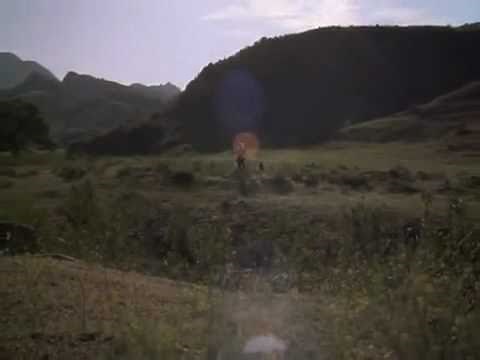 Jaime and Max go for a run