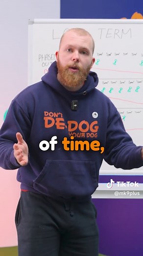 Long Term Results of Dog Training: Day 18 Insights