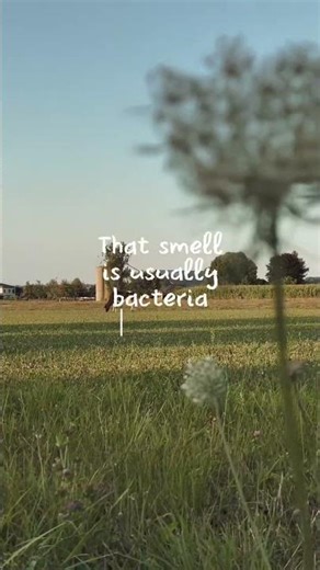 Do you know the smell? 🐄