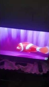 Finding nemo coral is eat and the barracuda attack and but born in to nemo #disney