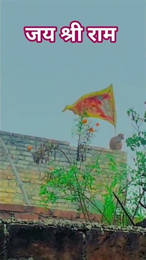 जय श्री राम 🙏🚩🙏#shreeram #ramji #jay 🚩🚩🙏🙏