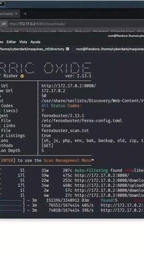 Maquina DIRECTORY – FTP, SMB y Web Hacking | Reverse Shell en Python + SUID Root #python