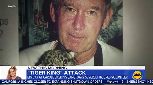 Tiger bites volunteer at Carole Baskin’s animal sanctuary