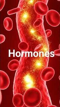 Exercise Science Revealed | How Workouts Transform Muscles, Heart, Brain, Hormones & Immunity ? #3d