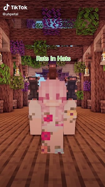 Exploring the World of Modded Minecraft Rats