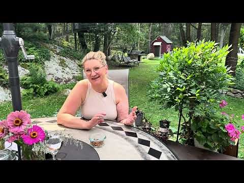 The Healing Power of Propolis: Nature's Secret Medicine