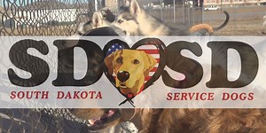 New organization provides those in need with a service dog with no price tag included