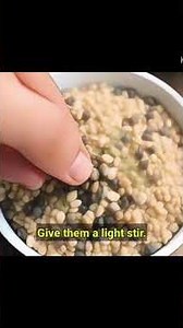 #SproutingGrains and #Legumes