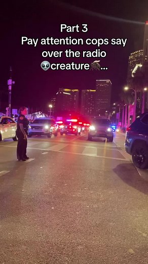 Mysterious Creature Sighting at Bayside Miami Mall - Latest Update and Investigation