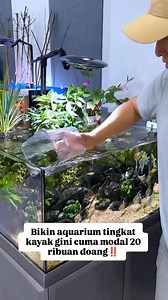 Akuarium | Putu Adi Putra