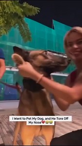 1.2K views · 63 reactions | Got yer nose  #dogs #reels #whoa | Team Floppy Ears | Facebook