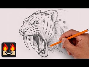 How To Draw a Sabre Tooth Tiger | Sketch Tutorial
