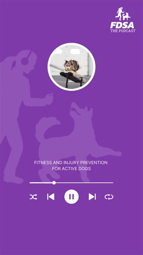With the Active Dogs: Fitness and Injury Prevention one day conference happening on Jan 10th, we took the time to sit down with 2 of the presenters to talk about what it means to keep our sports dogs in good health so they can play our games as long as possible. 🎙️ Hosted by Melissa Breau, owner of @click.and.repeat #dogsports #caninesportsmedicine #dogpodcast
