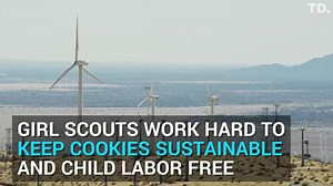 Florida DEP says 'miscommunication' at fault for official's Girl Scout cookies sales email