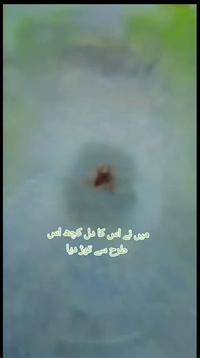 #@NAWAZ SHAREEF PARK SHORTS