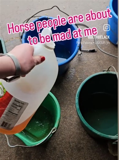 Cleaning Horse Water Buckets: Vinegar vs. Bleach