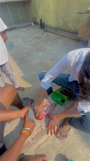 Jangli Kabutar Ko Colour Kar Diya🌈🕊️😂||#trending #pigeon #shorts