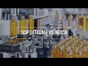 SCIP Database vs REACH SVHCs - A Comparison