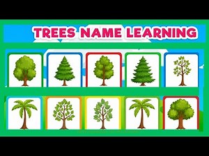 Tree Names for Kids | Let's Learn various types Types of Trees & plants Name easily