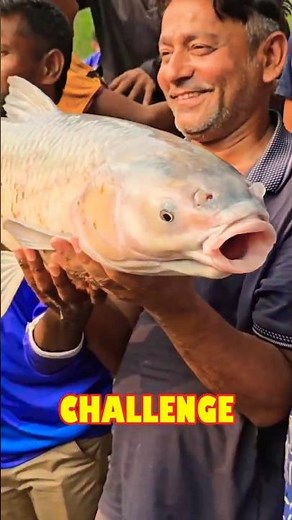 Catching Fish with Hand in Haifa Shore Rock Pools #Shorts