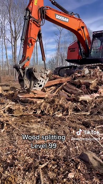 DX225LL log loader in action #doosan #logloader #woodsplitting #split #shear #excavator #forestry #logsplitter #logsplitting #scrapyard #heavyequipment #heavyequipmentoperator #heavyequipmenttiktok