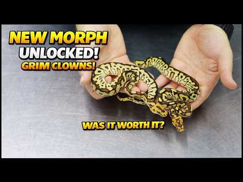 You’ve NEVER Seen Clowns Like This… These Grim Clowns Are INSANE🤯🐍